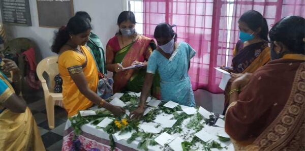 Women in Agriculture Day Celebration: Recognizing the Contributions of ...