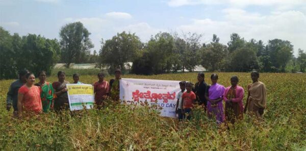 Ragi Field Day: ICAR JSS Krishi Vigyan Kendra Empowers Farmers with ...