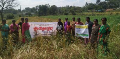 Ragi Field Day: ICAR JSS Krishi Vigyan Kendra Empowers Farmers with ...
